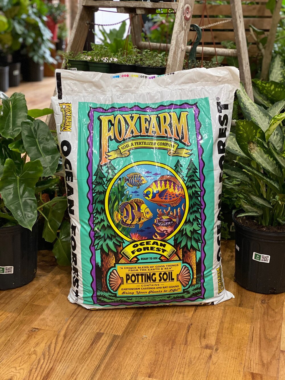 Fox Farm Ocean Forest Soil – Chicago Plants
